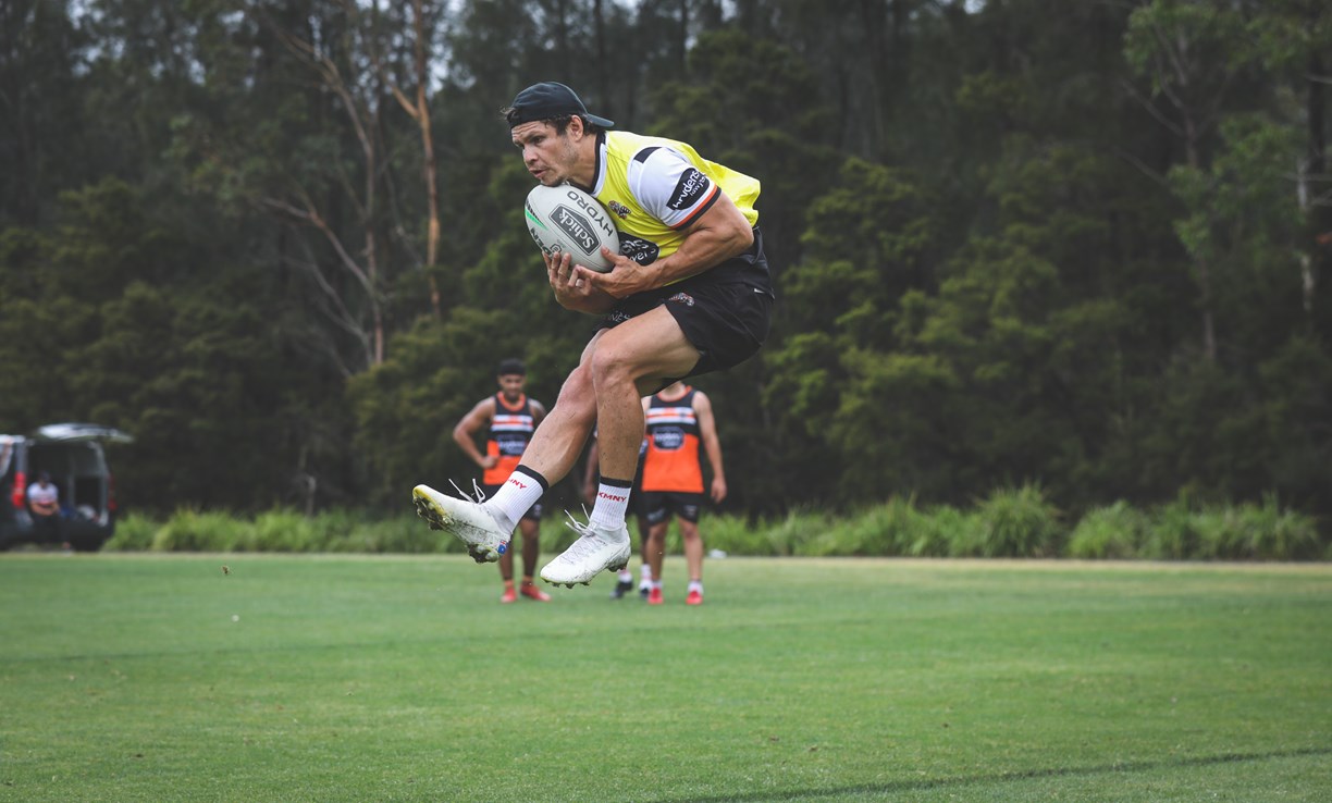 Jimmy the Jet begins life as a Tiger | NSWRL