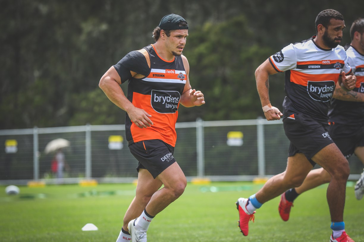 Jimmy the Jet begins life as a Tiger | NSWRL