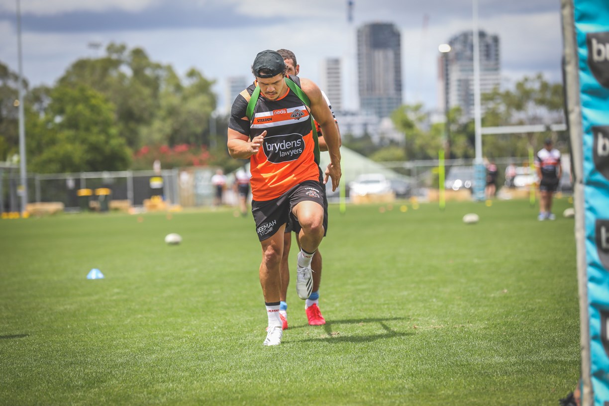 Jimmy the Jet begins life as a Tiger | NSWRL