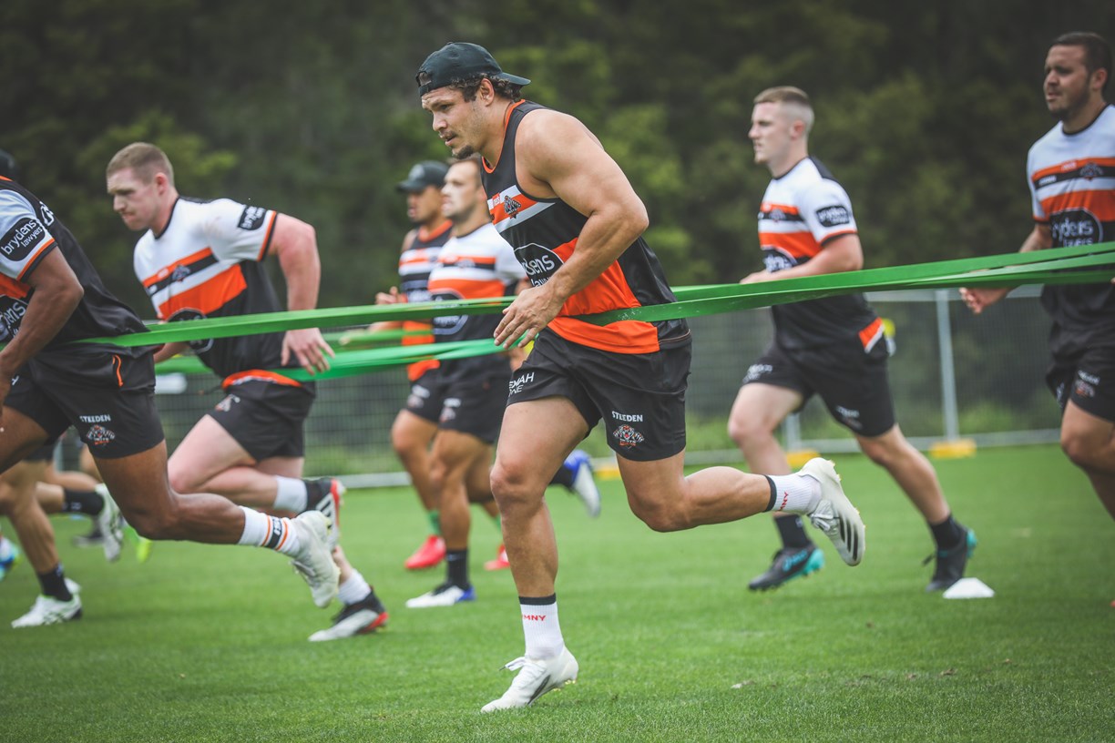 Jimmy the Jet begins life as a Tiger | NSWRL