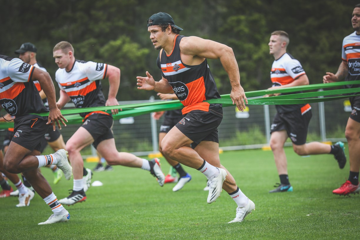 Jimmy the Jet begins life as a Tiger | NSWRL