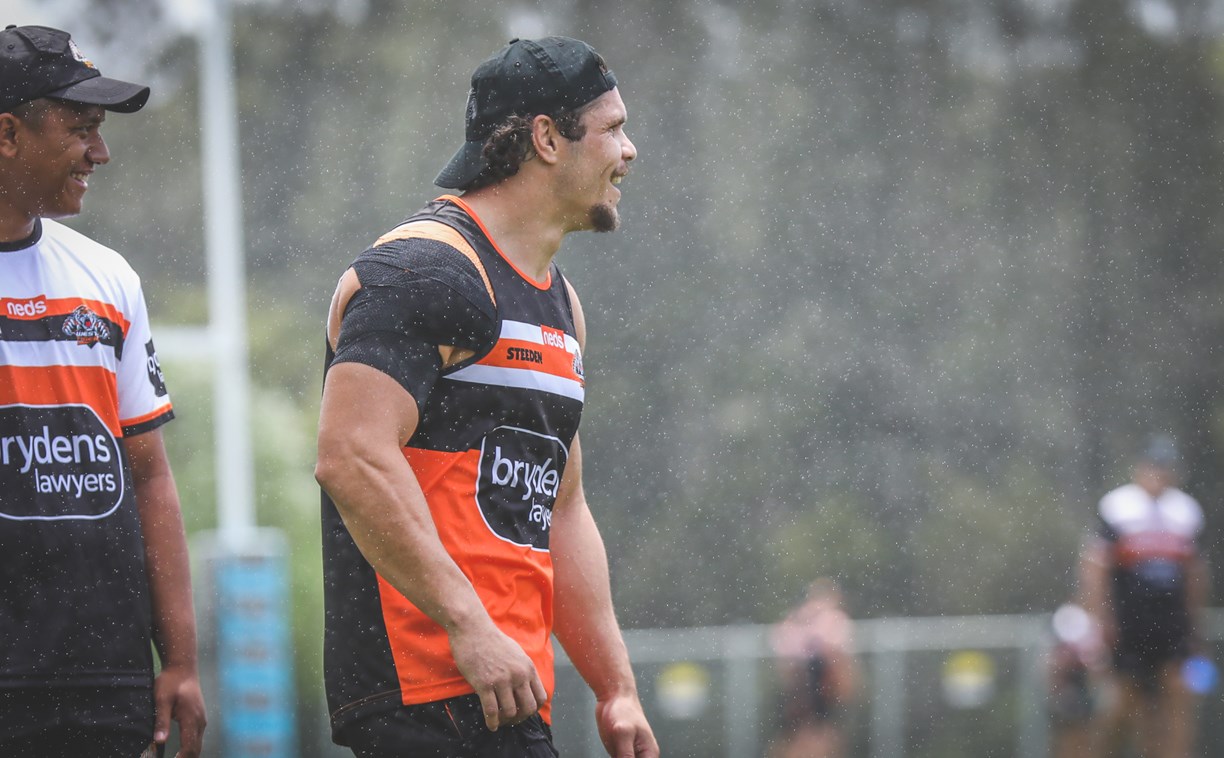 Jimmy the Jet begins life as a Tiger | NSWRL