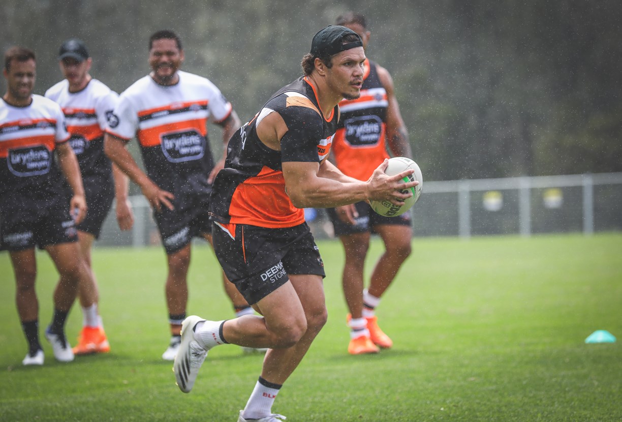 Jimmy the Jet begins life as a Tiger | NSWRL