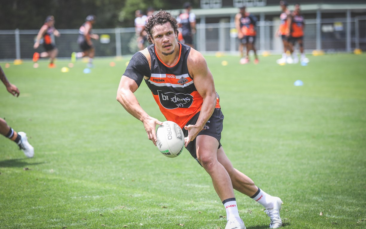 Jimmy the Jet begins life as a Tiger | NSWRL