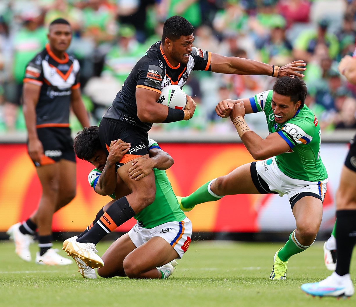 Gallery: NRL Round 2 vs Raiders | Wests Tigers